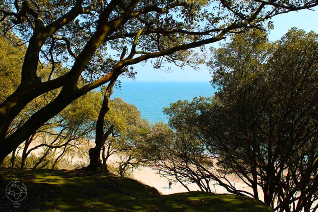 Highcliffe Beach, Castle & Nature Reserve: The Perfect Day Out in ...